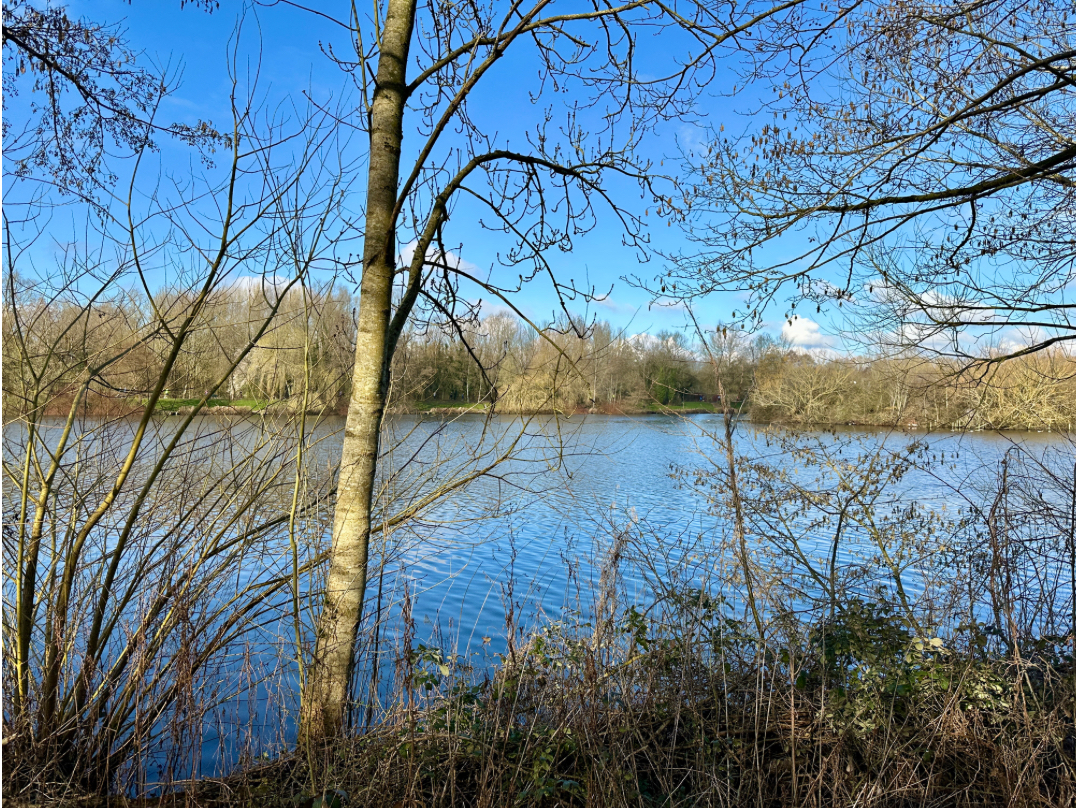 15th March 2025 | Arrow Valley parkrun