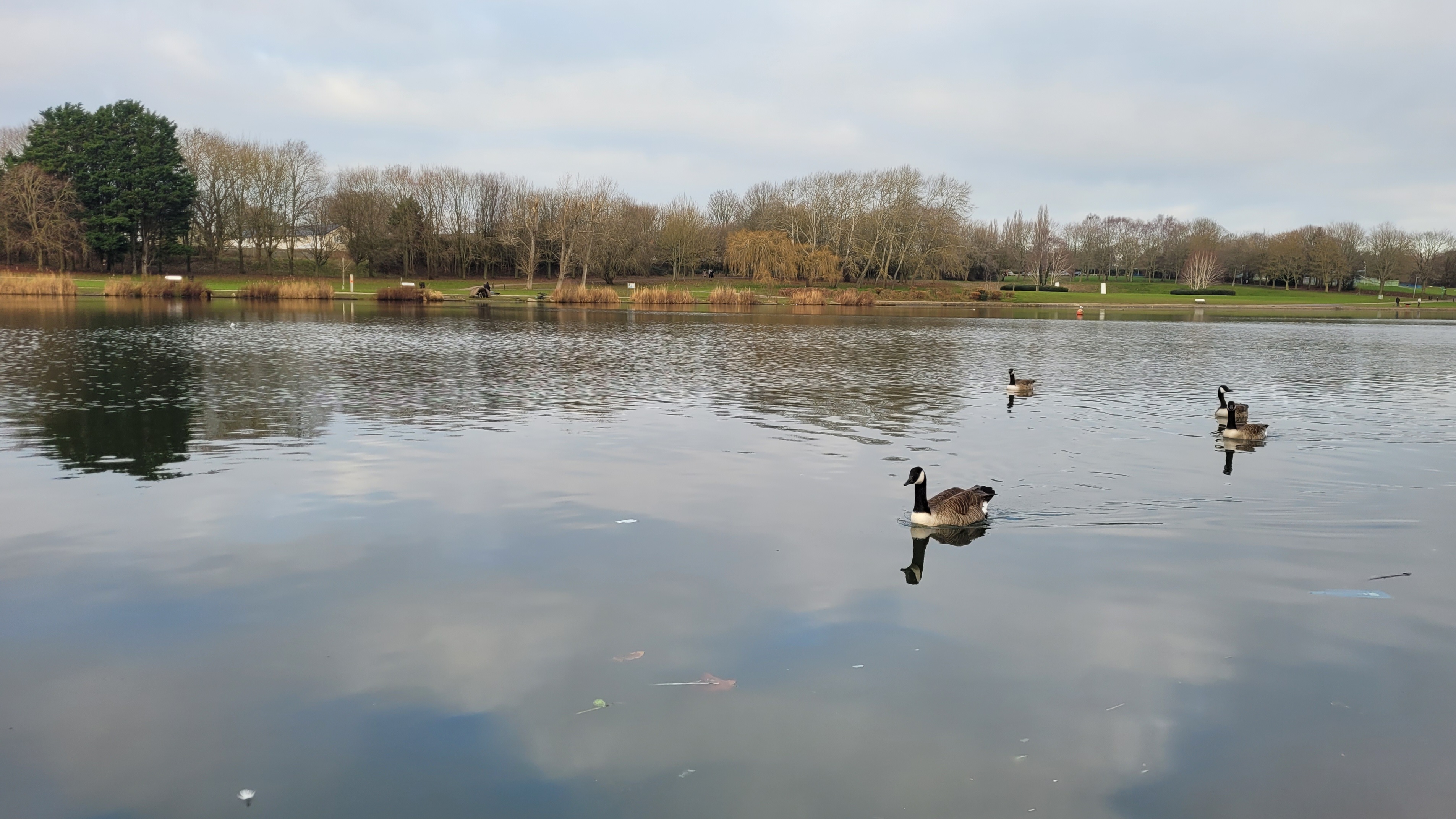 Stevenage parkrun report #329 | Stevenage parkrun