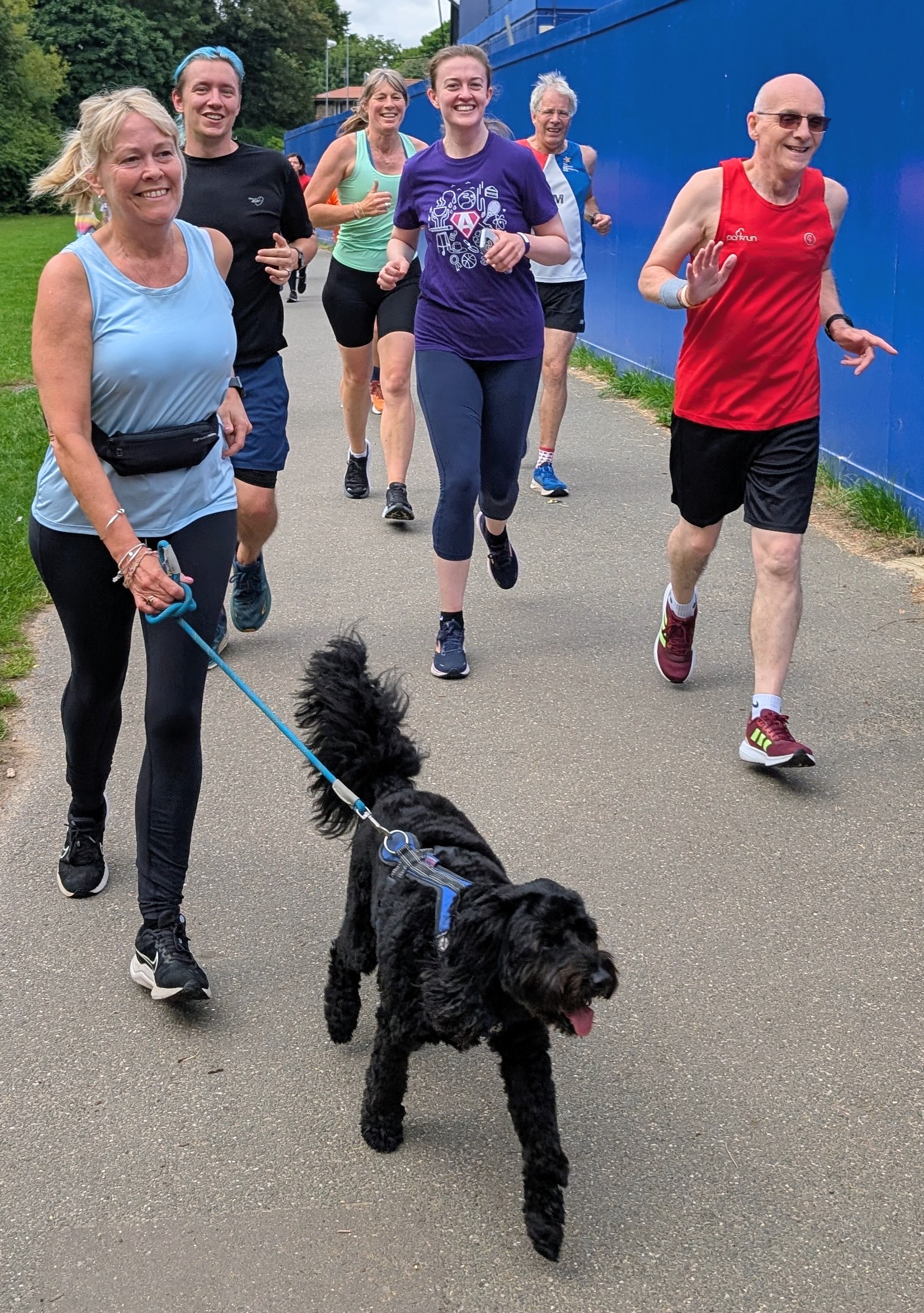 Stevenage parkrun stats report #411 | Stevenage parkrun